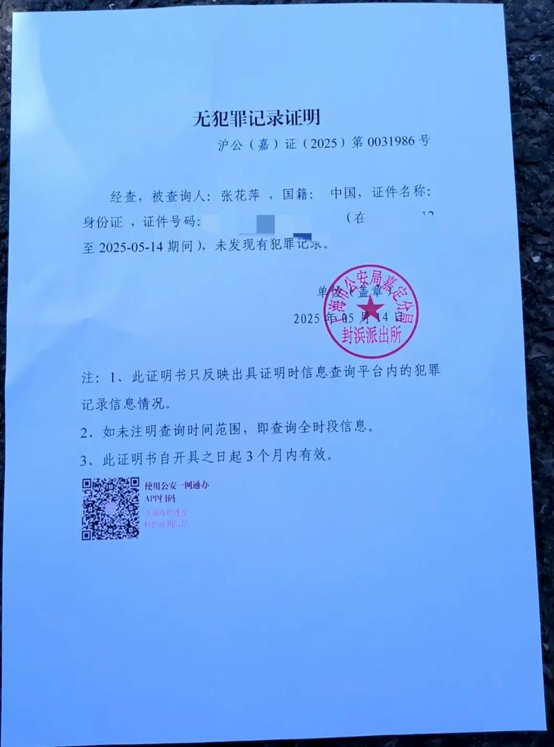 无犯罪记录app图标