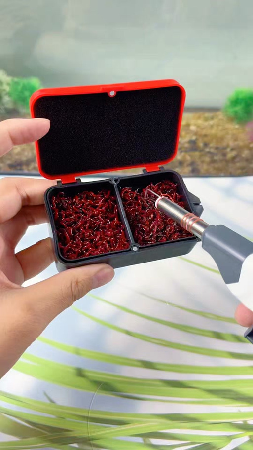 假红虫怎么用视频图标