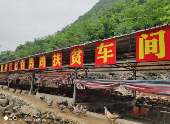 联建联养图标