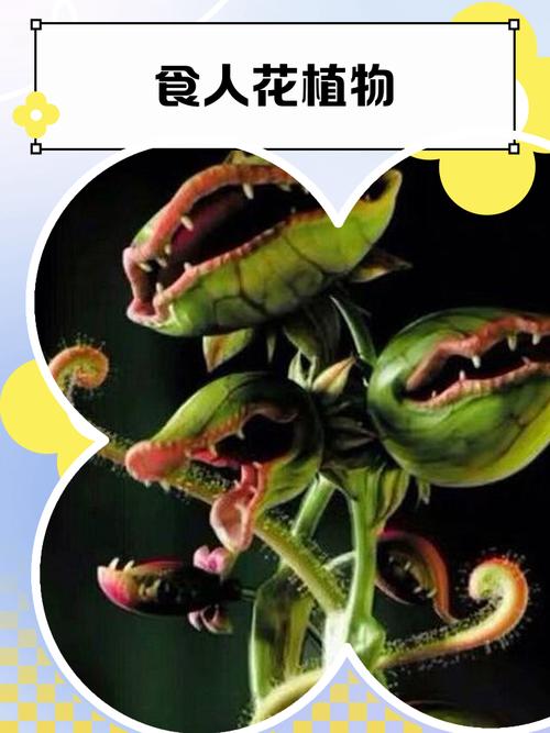 食人花的危害图标