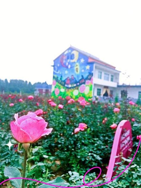 1314玫瑰小镇下载安装图标
