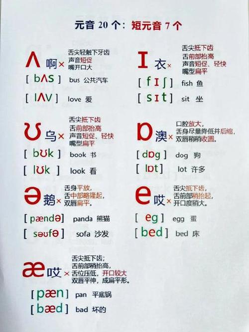 英语音标怎么读视频教程图标