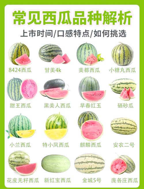 麒麟西瓜跟8424西瓜的优劣点图标