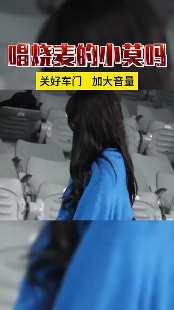 小莫mp3图标