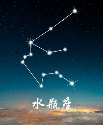 爱水瓶到骨子里的星座图标