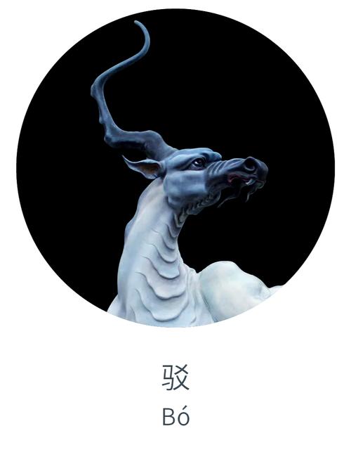 白边打一准确动物图标
