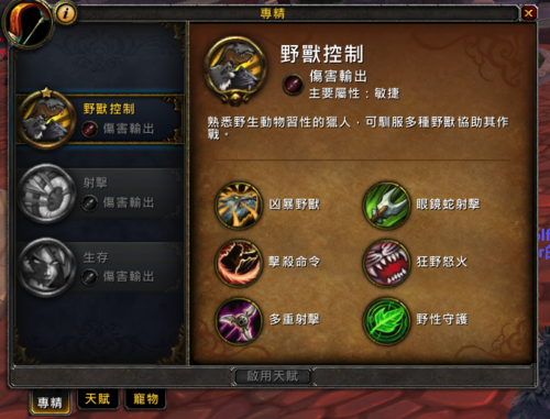 魔兽世界兽王猎人属性图标