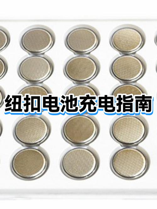 纽扣电池可以充电吗?图标
