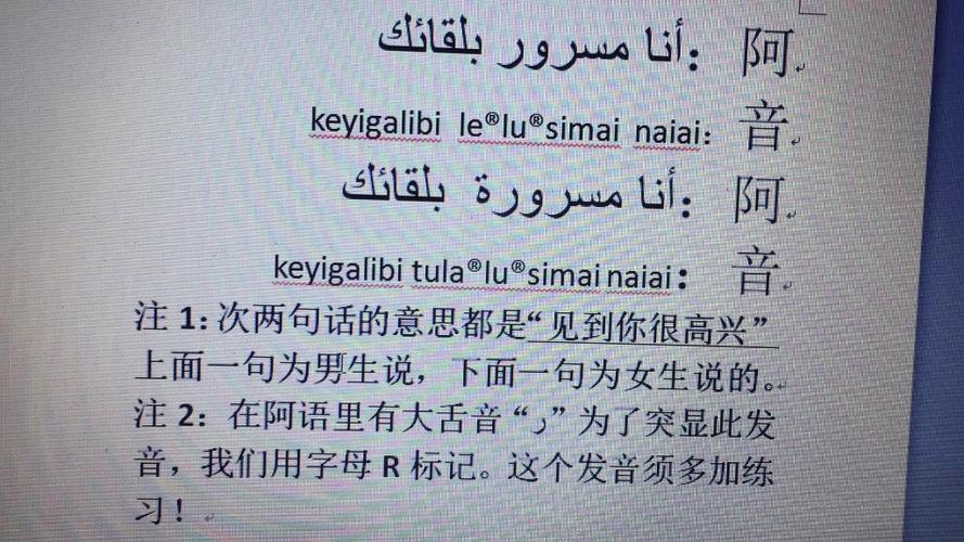 阿拉伯用什么语言图标