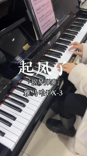 钢琴弹起风了图标