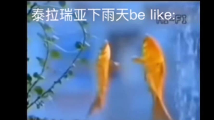 泰拉瑞亚下雨图标