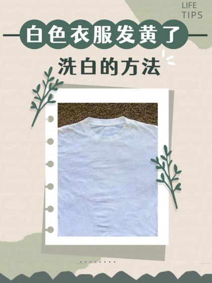 白色衣服变暗了怎么办截图