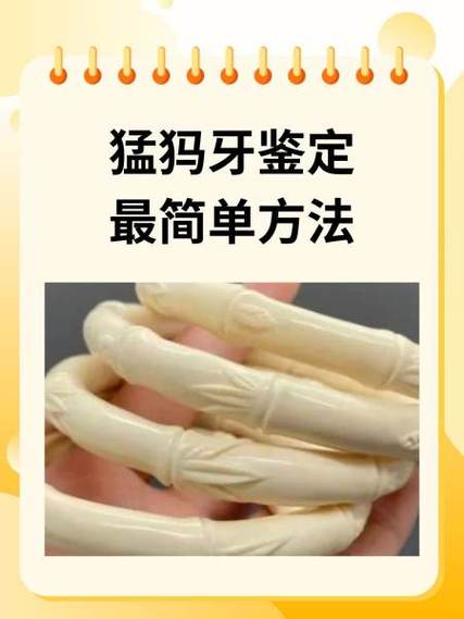 如何区分长毛短毛象牙图标