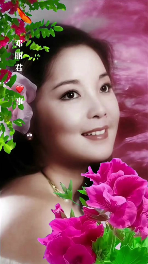 邓丽君真的好想你图标