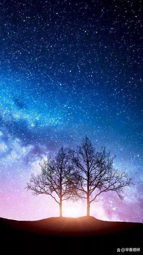 看星星是什么意思图标