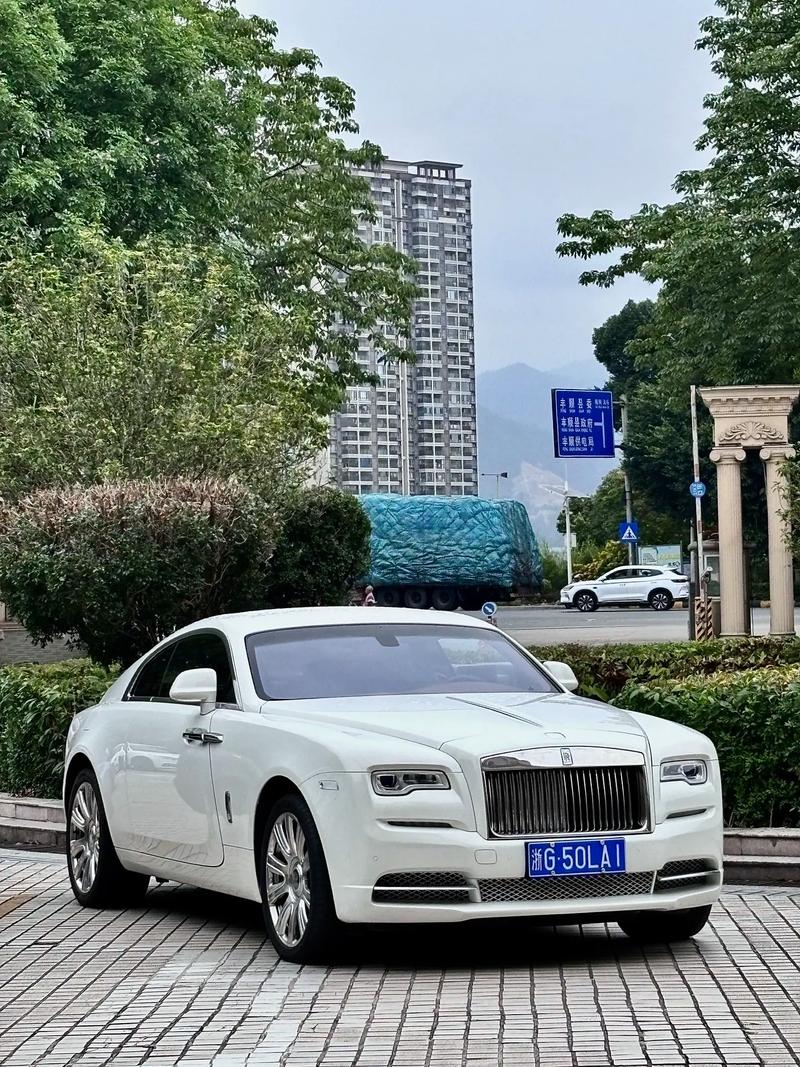 白色的至尊魅影截图