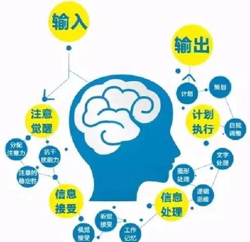 大脑思维截图