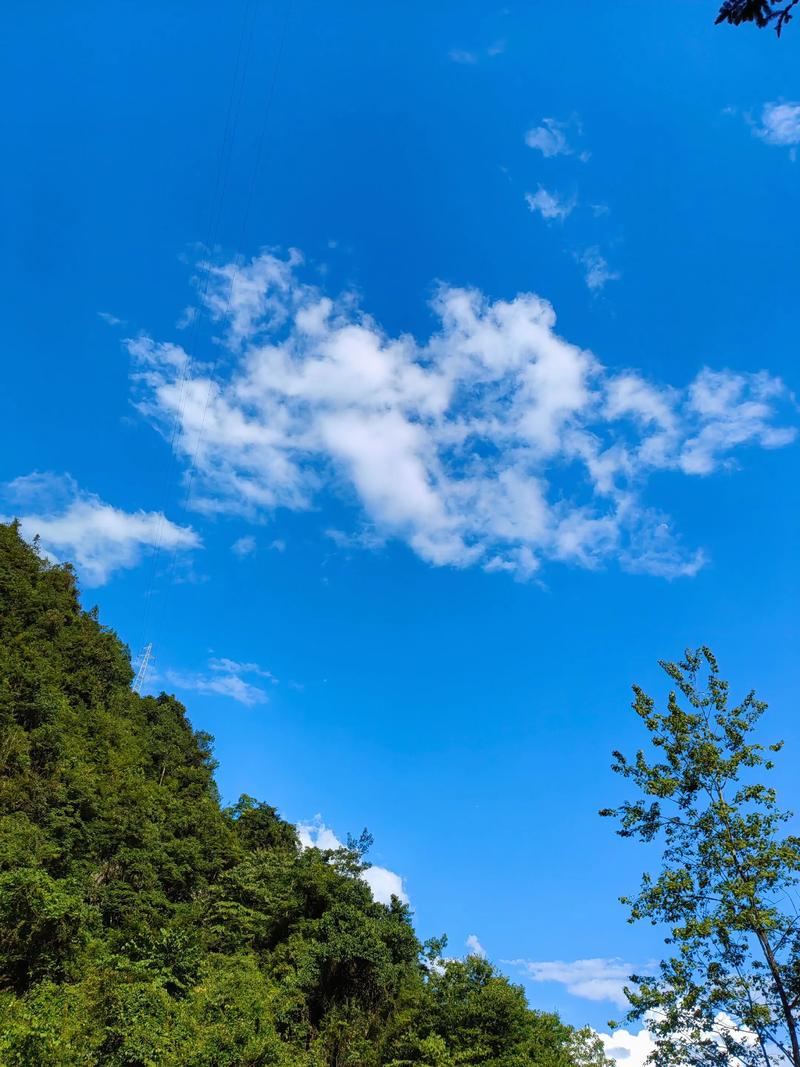 美丽折淘客辅助器图标