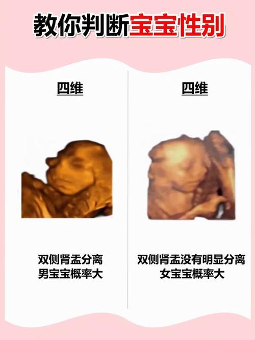 四维图片怎么看男孩女孩图标