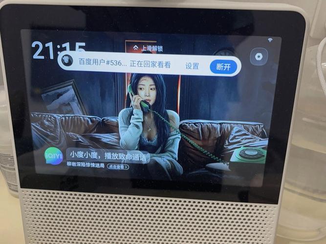 小度音箱开通VIP会员方法图标