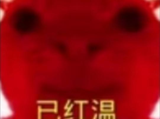 鼠鼠红温表情包图片图标