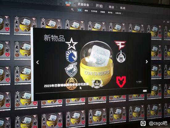 csgo胶囊多少钱一个图标