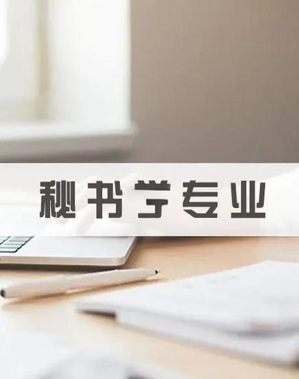 秘书培养经过哪个阶段图标