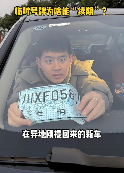 临牌为什么不怕违章图标