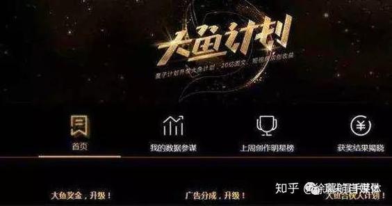 大鱼号转正多久有收益截图