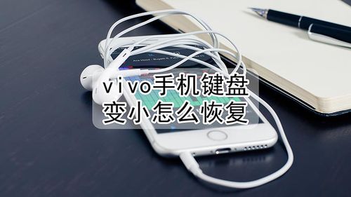 vivo手机键盘变小图标