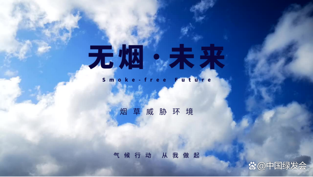 为什么没有电子烟了图标
