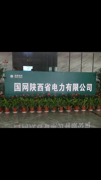陕西电力国网缴费图标
