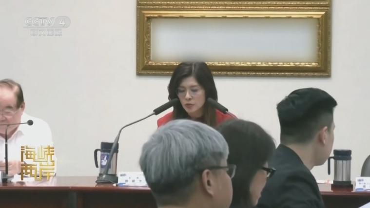 郑丽文:全世界都不支持台独图标