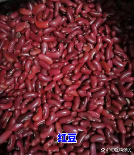 比红豆大很多的叫什么豆图标