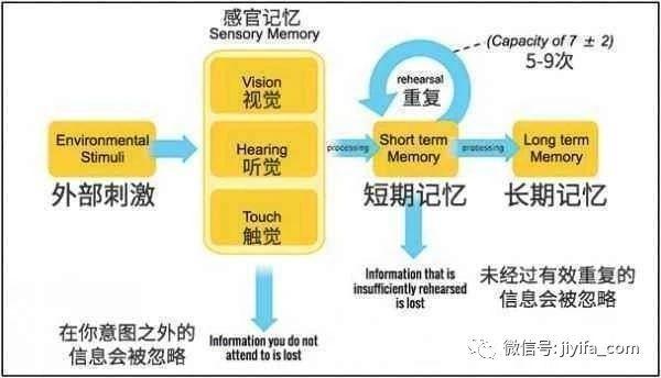 记忆技巧的分类图标