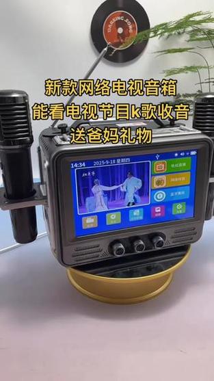 夏新音响怎么连接无线话筒图标