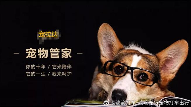遛狗接单平台缩略图