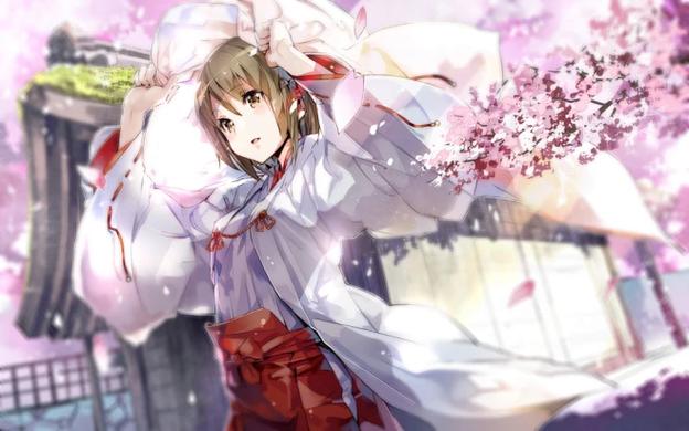 樱花tv网页登录