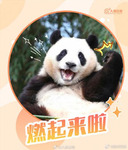 熊猫转发图标