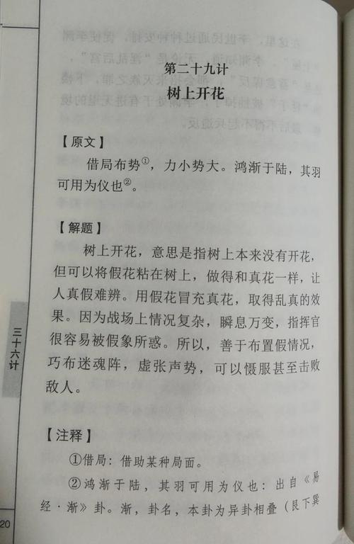 老树开花陈小静小说免费阅读截图