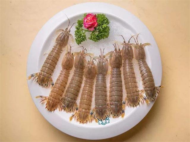 皮皮虾是虾吗?图标