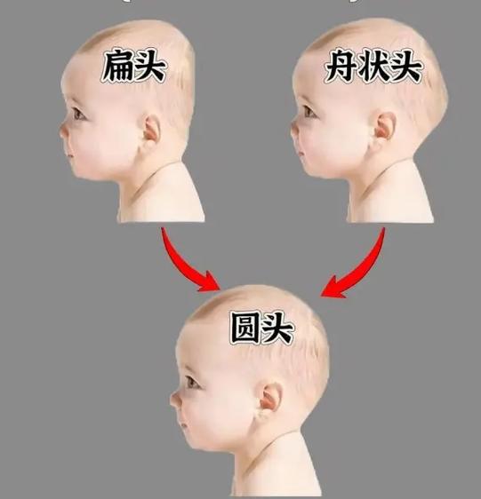 头型有哪几种图标