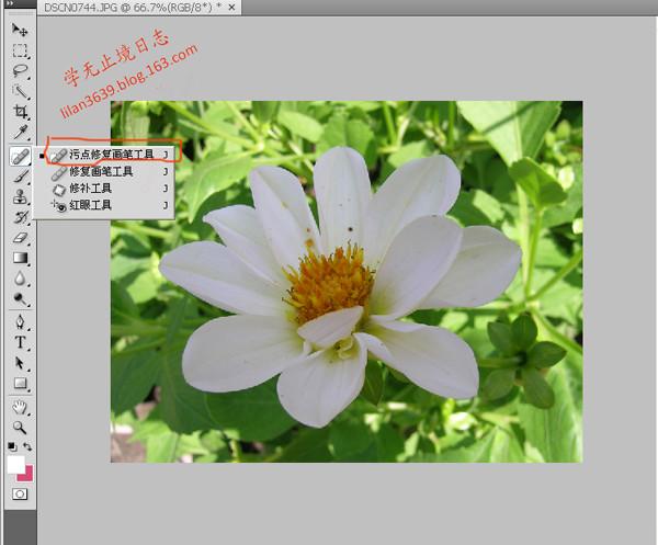 苹果手机屏幕出现黑色圆点图标