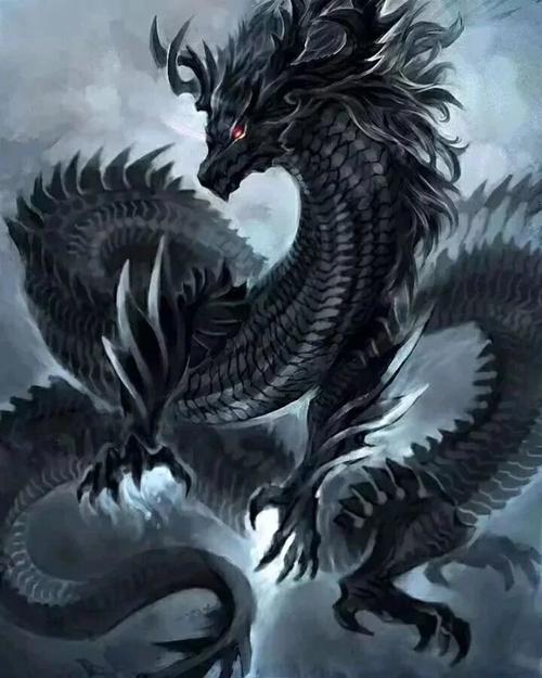 黑龙和煌黑龙设定谁强