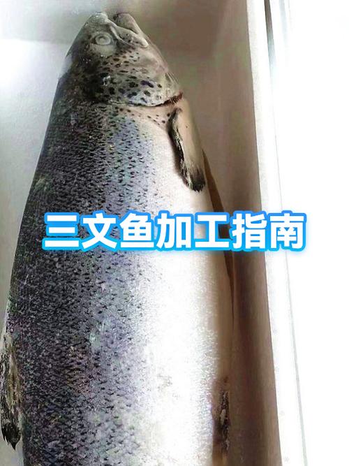 三文鱼冷冻后怎么解冻图标