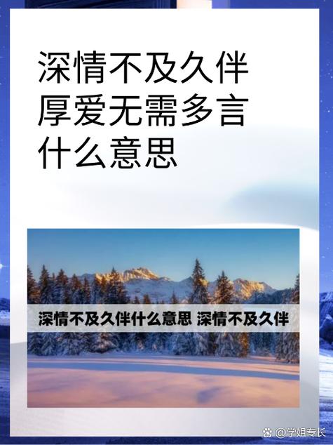 聘爱是什么意思