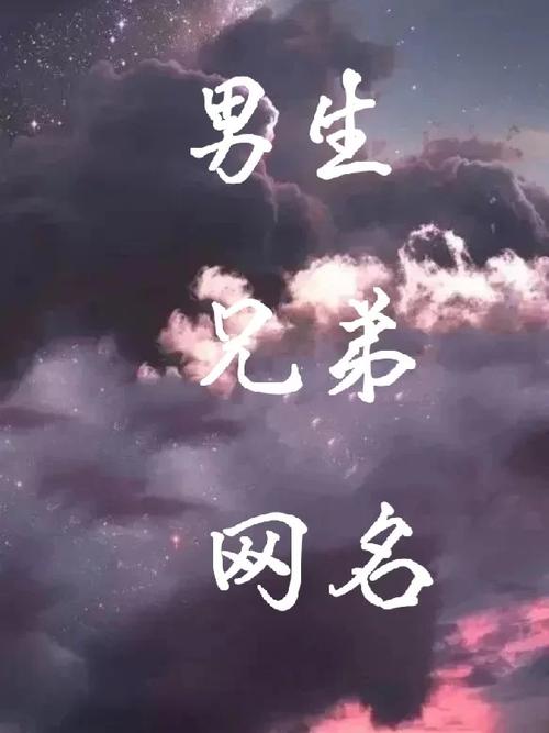 适合兄弟网名