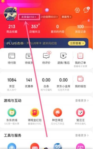 京东20000京享值多少钱截图