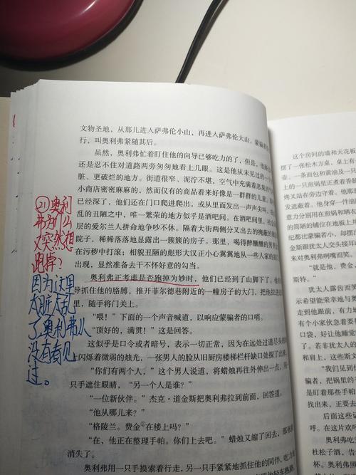 雾都孤儿每一章批注图标