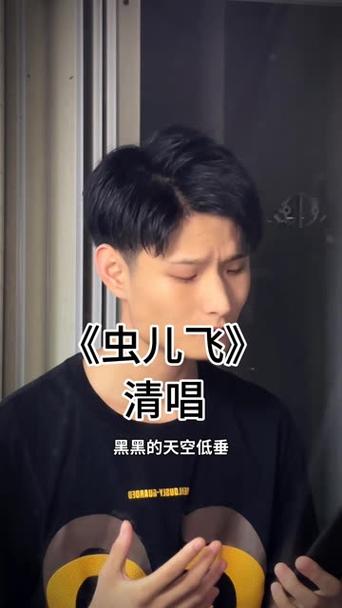 虫儿飞歌曲儿童版